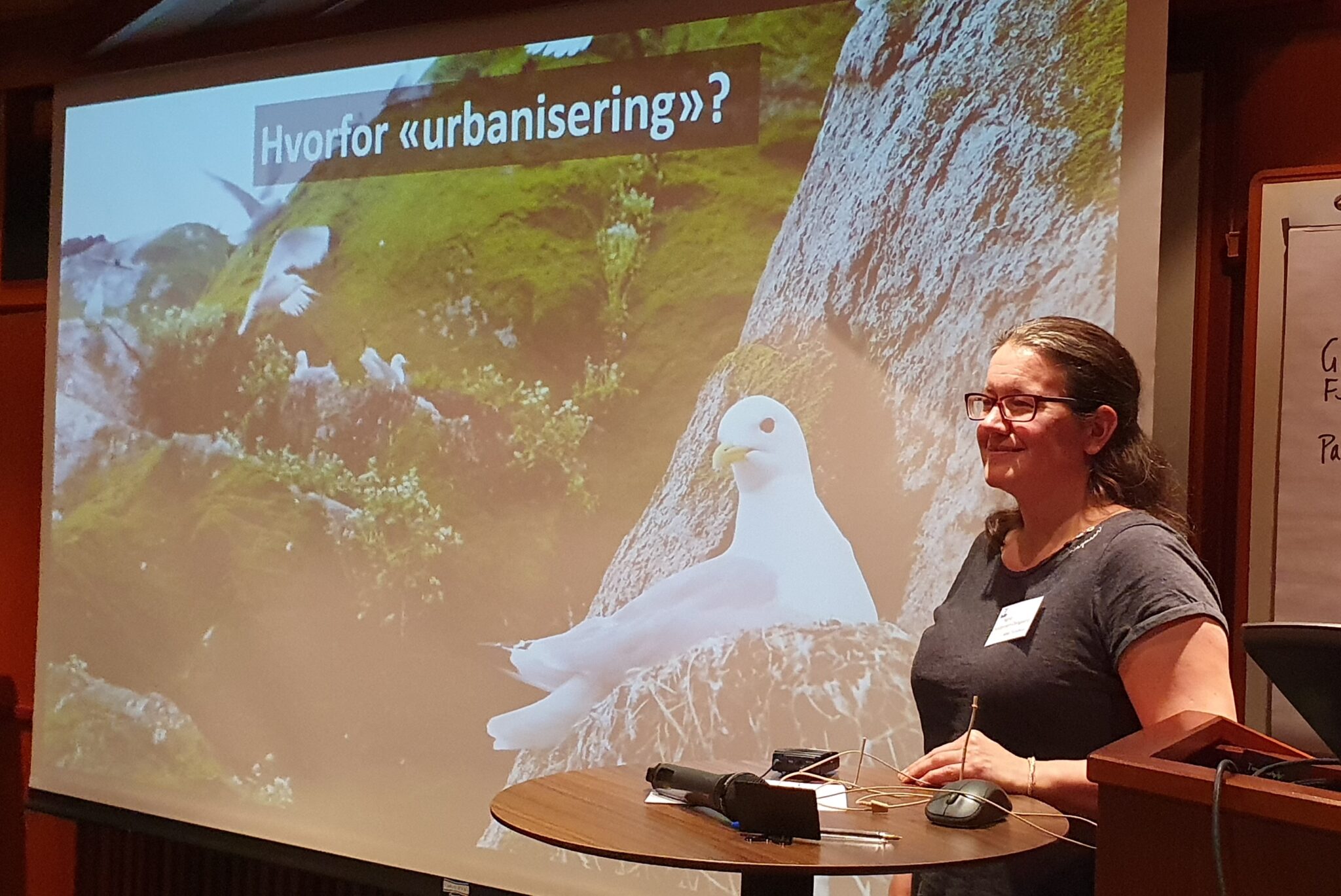 SEAPOP-seminaret i havn på Holmen - SEAPOP